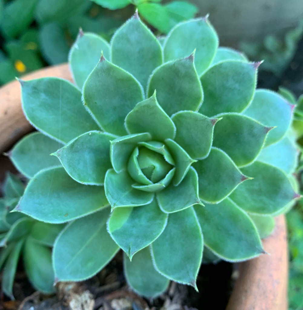 How Are You Doing at Cultivating Your Friendships? - Lisa Jordan Books